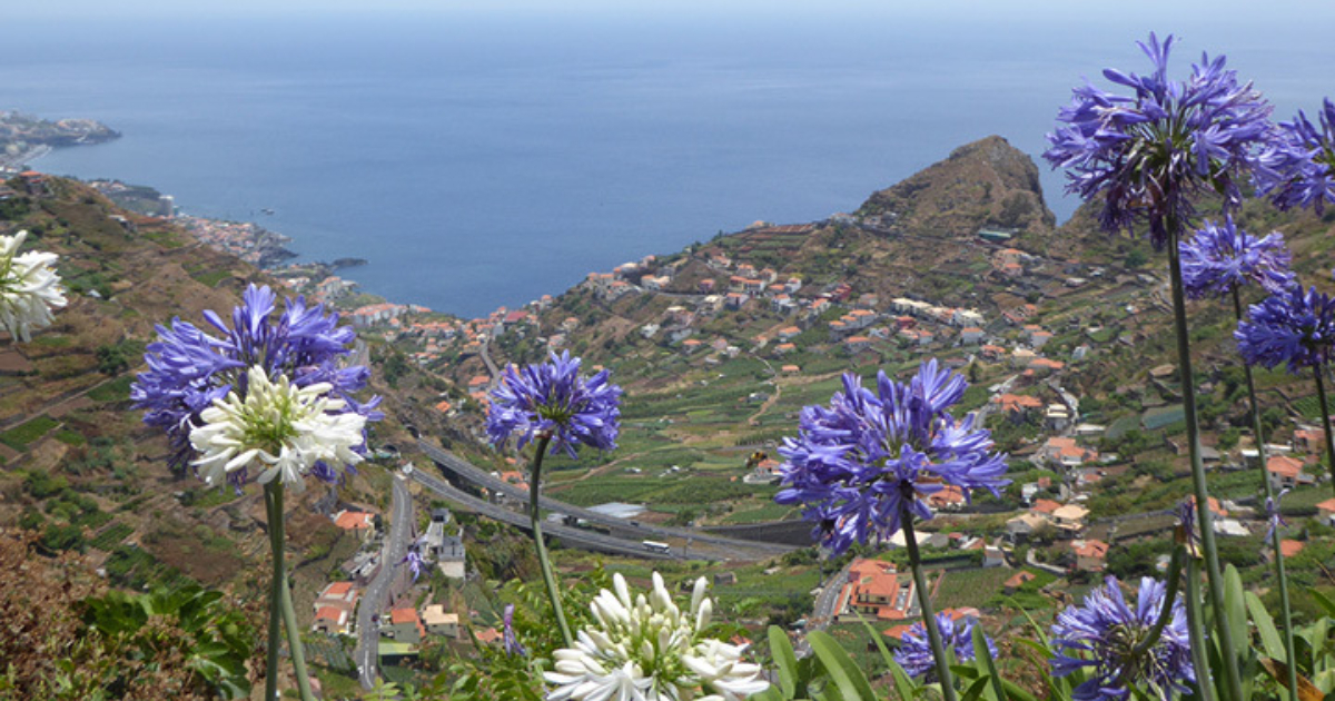 Portugal, Madeira - Vandring i vill og vakker natur - Viljareiser